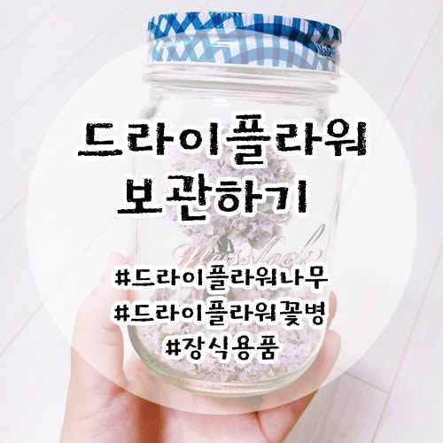 드라이플라워 보관하기 보관법 드라이플라워꽃병 드라이플라워나무 만들기 네이버 블로그