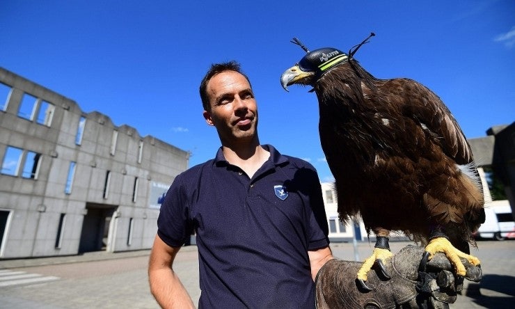 드론 사냥에 성공한 네덜란드 경찰 독수리 비행단 - Dutch Police Training Eagles succeed to ...