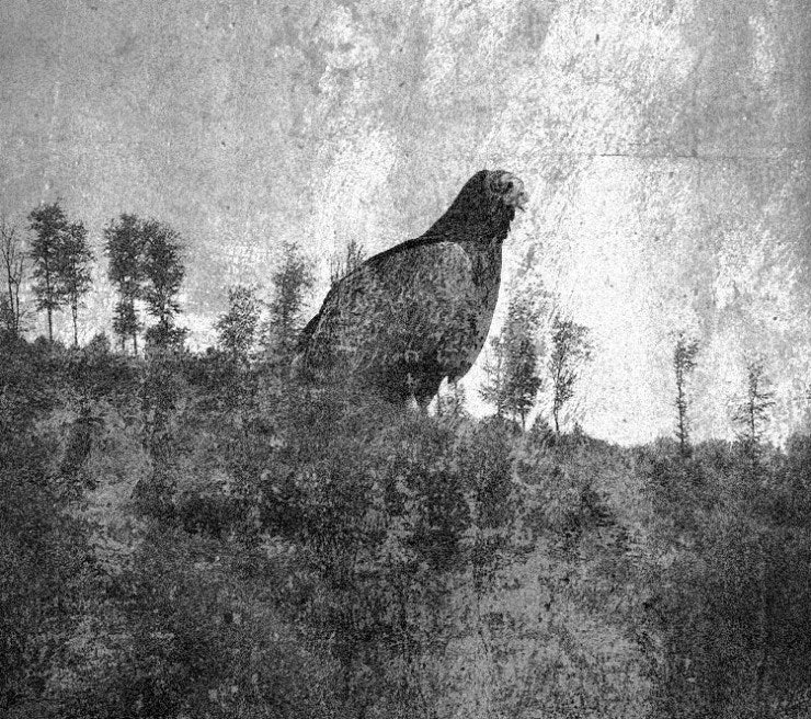 SCP-1160 - 효과적인 격리 : 네이버 블로그