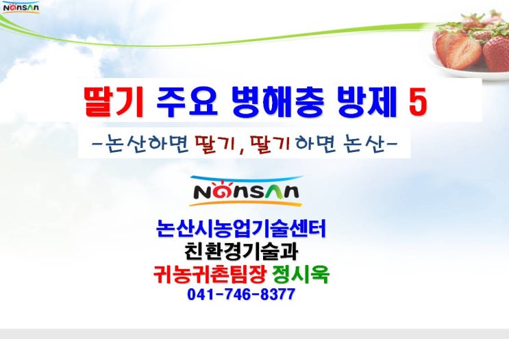 딸기 병해충 방제탄저병 시들음병 응애 작은뿌리파리 역병 흰가루병 잿빛곰팡이병 꽃곰팡이병 3 1 네이버 블로그