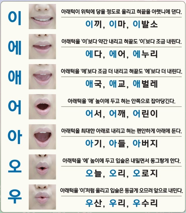 정확한 발음을 위한 입모양 : 네이버 블로그