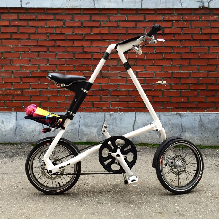 스트라이다타고 장보기/ 미니벨로 STRIDA : 네이버 블로그