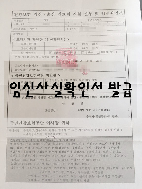 임신5주차 초음파로 애기집확인과 임신사실확인서 발급시기 네이버 블로그