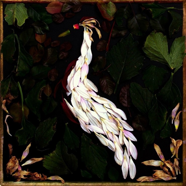 Fortunate Fall - Audrey Assad : 네이버 블로그