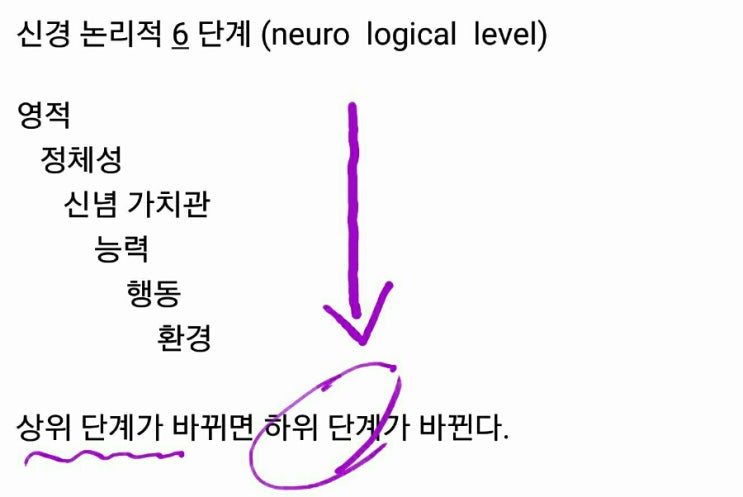 신경 논리적 6 단계 (neuro logical level) , 하위 감각양식 (submodality) : 네이버 블로그