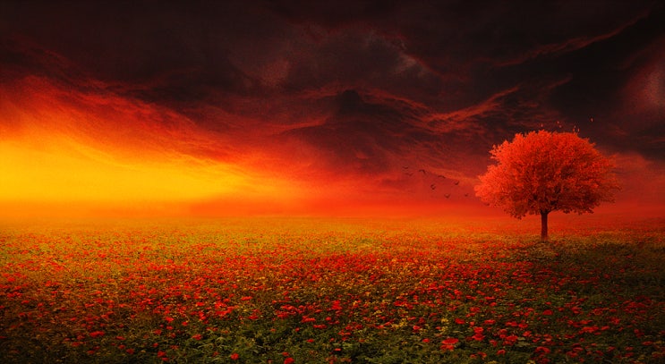 The Red Tree 네이버 블로그