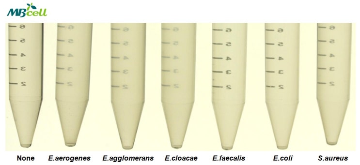 KOSER Citrate Broth MB-K1165 : 네이버 블로그