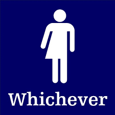 복합관계대명사 whatever, whichever / 다다 기초영문법 : 네이버 블로그