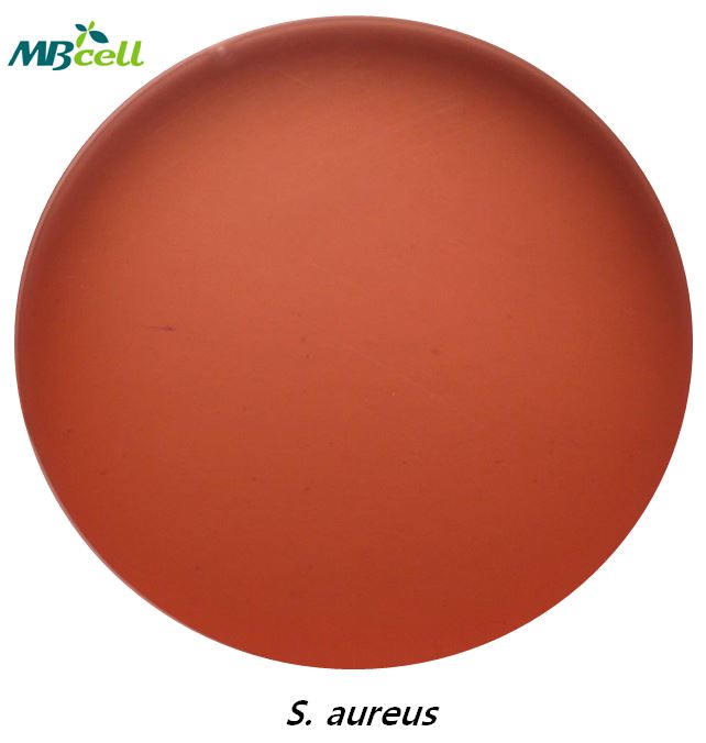 mFC(membrane Fecal Coliforms) Agar MB-F1412 : 네이버 블로그