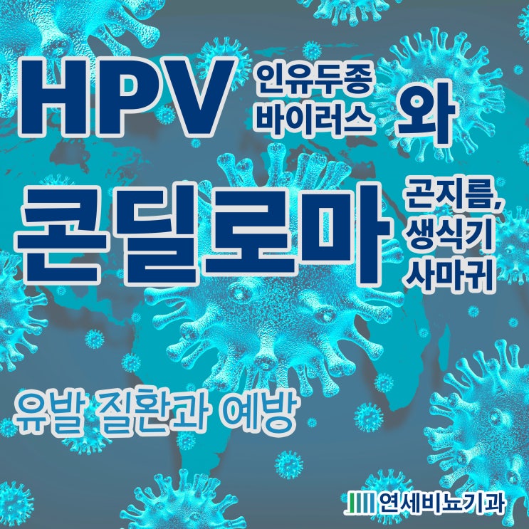 Hpv인유두종바이러스와 콘딜로마곤지름 생식기사마귀에 대해 알아봅시다 네이버 블로그