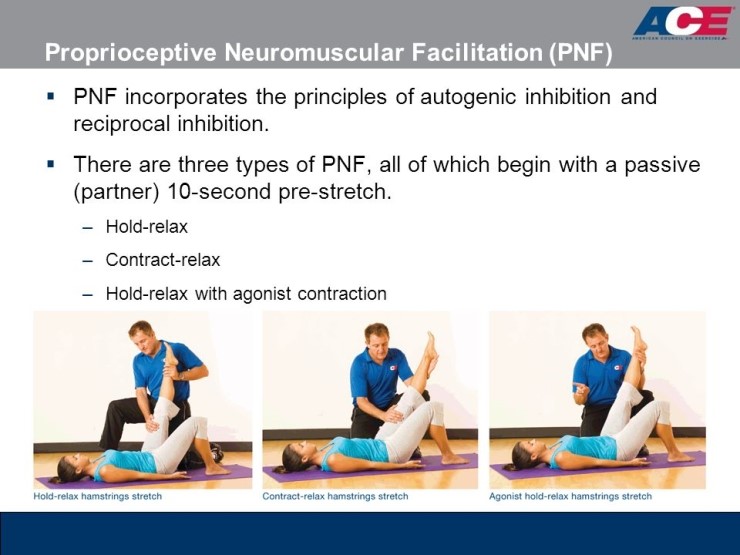 PNF 스트레칭 : 네이버 블로그