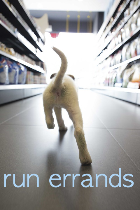 검색하지 않으면 잘 모르는 영어표현! run errands : 네이버 블로그