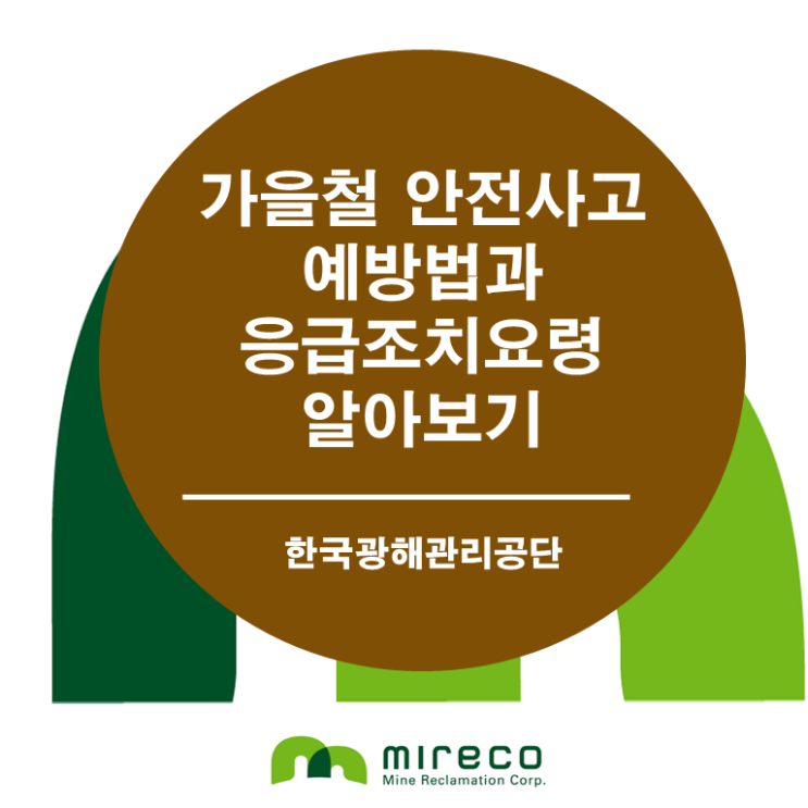 가을철 안전사고 예방법과 응급조치요령 알아보기 가을 산행뱀 물림 사고벌 쏘임 사고 네이버 블로그