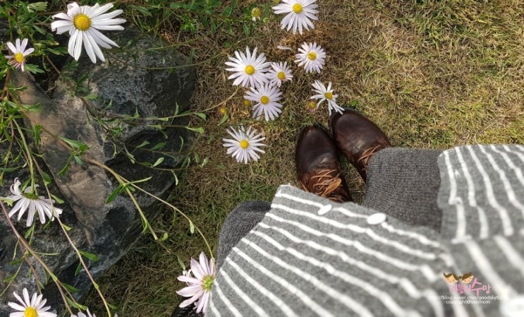 복잡할 때에는 한걸음 천천히 걸어보는 것도 : 네이버 블로그