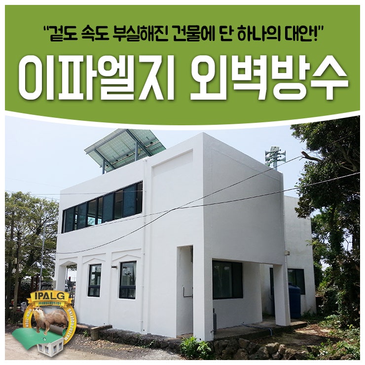 페인트가 아닌 전용 외벽방수제로 외벽방수와 외벽리모델링까지 한번에 네이버 블로그
