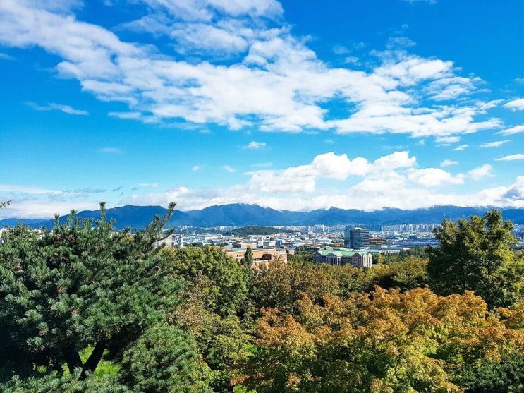 바지꿈 : 네이버 블로그