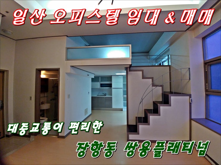 장항동 쌍용플래티넘 일산오피스텔 단기 월세 임대 및 매매 시세표 네이버 블로그