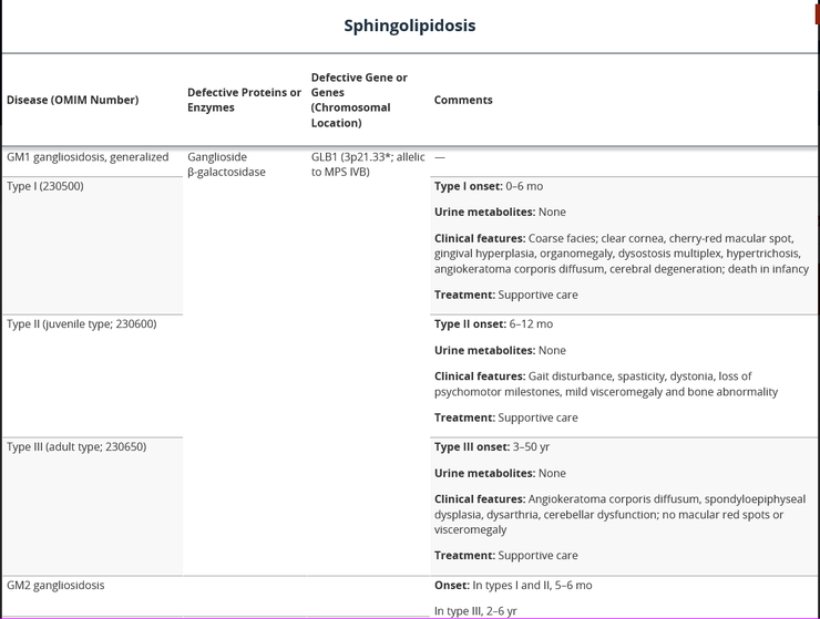 sphingolipidosis - lysosomal storage disease : 네이버 블로그