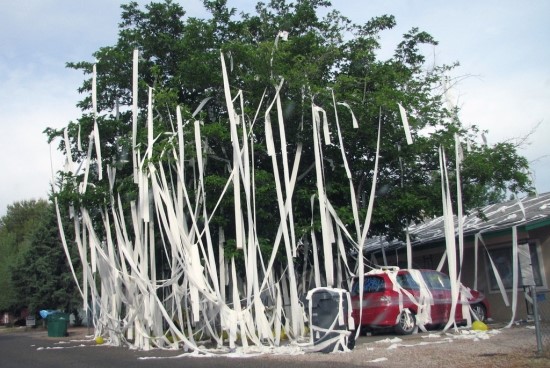 TPing (toilet papering) : 네이버 블로그