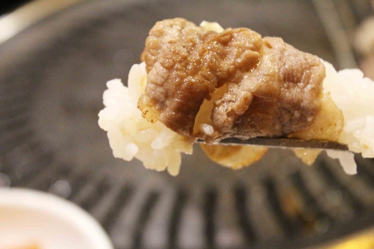 웨돔맛집 일산호수공원맛집 백종원 돌배기집 차돌박이 전문점 네이버 블로그