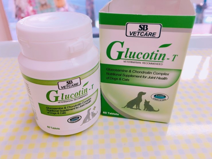 (강아지 고양이 영양제) 글루코틴-T(Glucotin-T) : 네이버 블로그