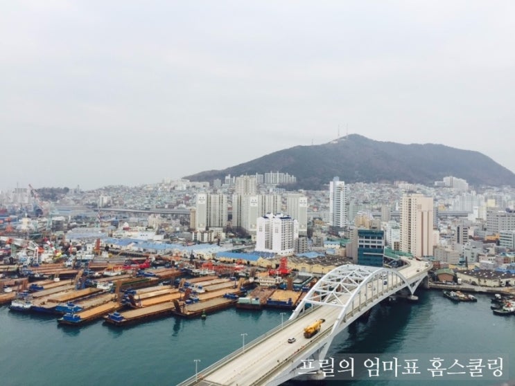 부산 롯데백화점 광복점 전망대 음악분수쇼 네이버 블로그