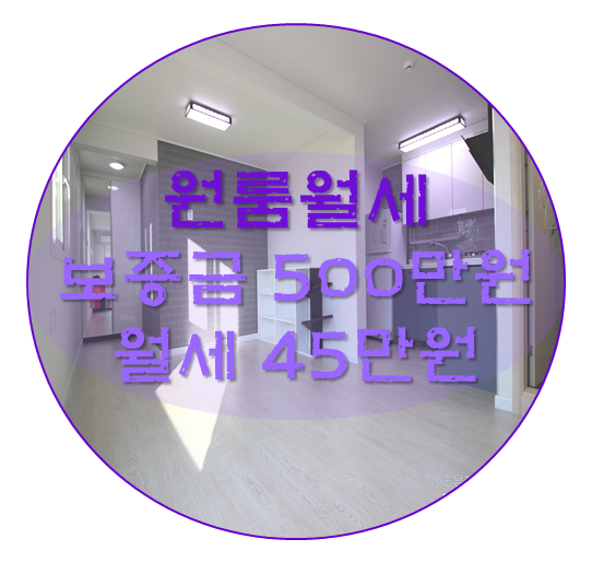 【평택안중원룸】 안중 송담지구 원룸월세 오피스텔형 예쁜원룸 네이버 블로그