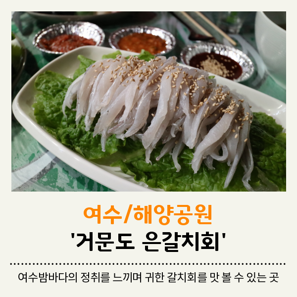 여수맛집 낭만포차맛집 거문도 은갈치회에서 소주한잔 네이버 블로그