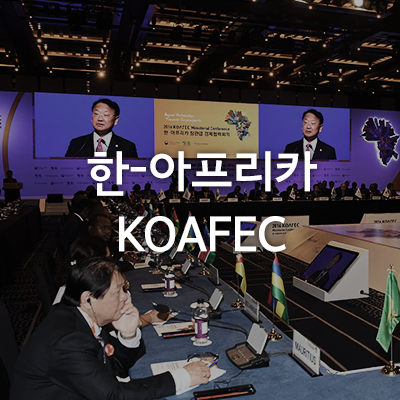한-아프리카 포괄적 경제협력 관계 구축 - KOAFEC : 네이버 블로그
