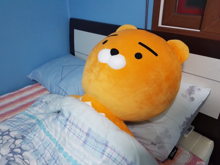 카카오프렌즈 라이언 대형인형 솔직 구매후기! : 네이버 블로그