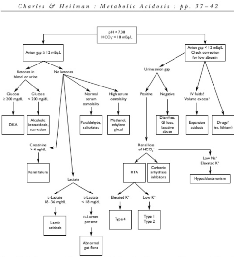 Metabolic Acidosis와 Anion gap, 그리고 RTA : 네이버 블로그