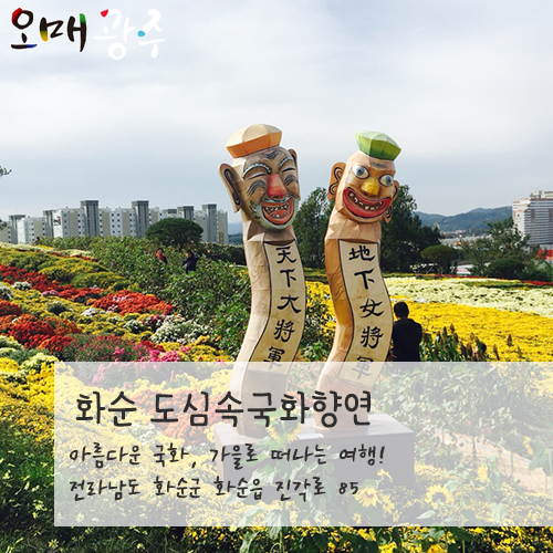 아름다운 국화 가을로 떠나는 여행 화순 도심속 국화향연국화축제 네이버 블로그