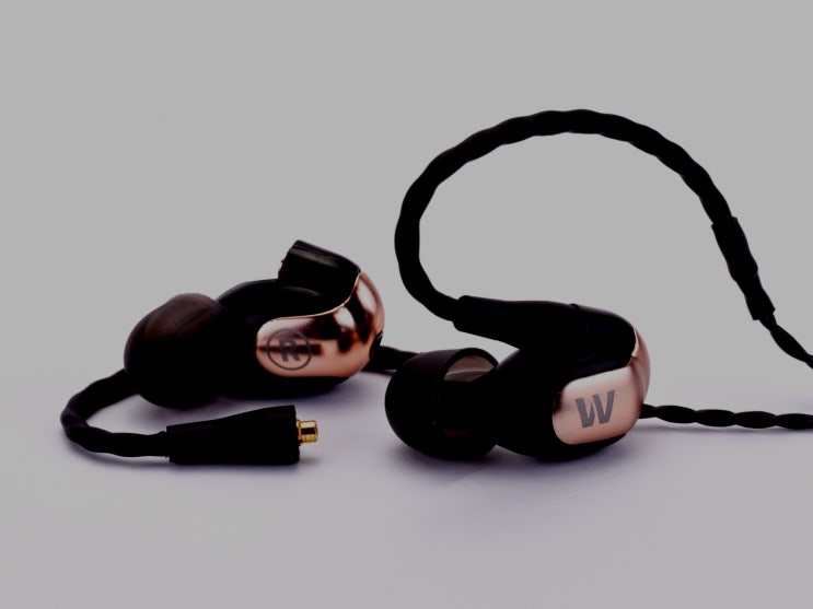 Westone Labs W60 리뷰 : 네이버 블로그