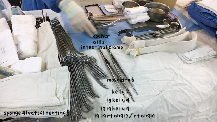 IVOR LEWIS (VATS) : 네이버 블로그