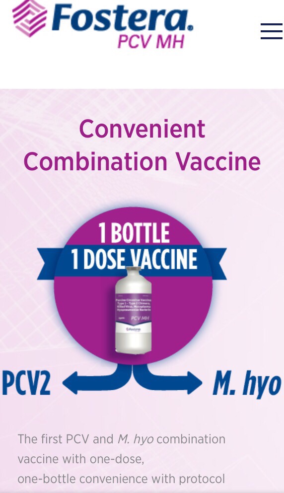 조에티스 포스테라 PCV MH : 네이버 블로그