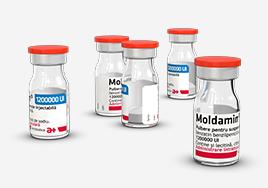 제주도 매독 주사 몰다민 ( Moldamin ) : 네이버 블로그