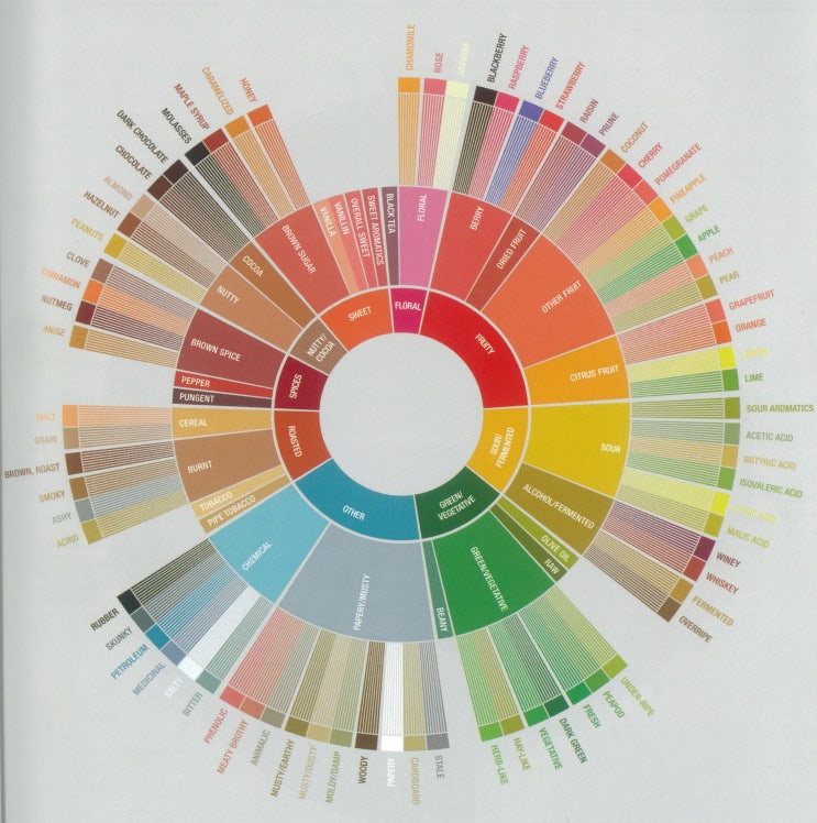 SCAA, Coffee Taster's Flavor Wheel : 네이버 블로그