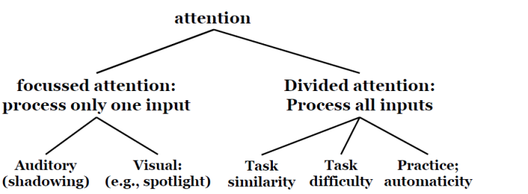 [인지심리학/Cognitive Psychology] Attention and Performance1 : Attention ...