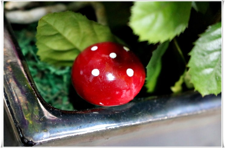 빨간색의 힘! : 네이버 블로그