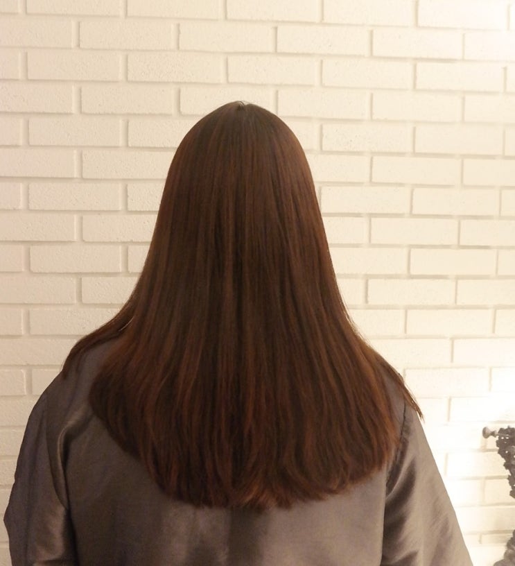 준오헤어 신논현점 린지샘에게 헤어 크리닉을 받다( + 그리고 그 외에 일상 ) : 네이버 블로그