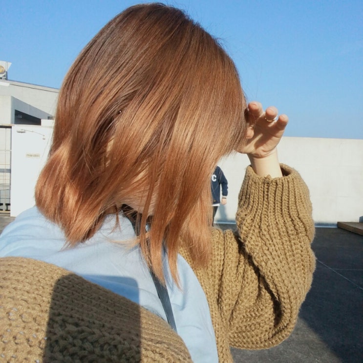 푸딩염색약 샌디애쉬 셀프염색 Gg너 뿌염전용이세요 네이버 블로그