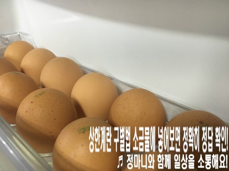 상한계란 구별법 소금물에 넣어보면 정확히 정답 확인 네이버 블로그
