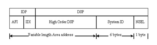 NSAP address : 네이버 블로그
