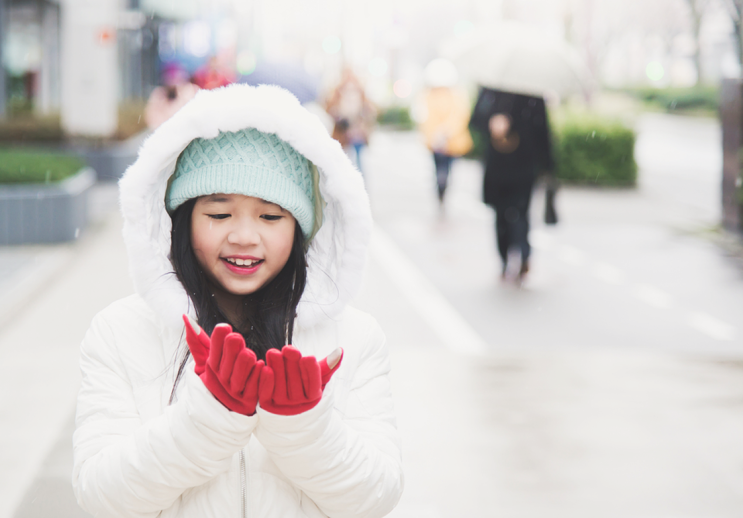 겨울철 다양한 눈의 종류와 표현 알아보기 : 네이버 블로그