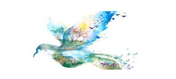 세계평화를 위해 뛰는 청년들,IPYG (국제청년평화그룹) : 네이버 블로그