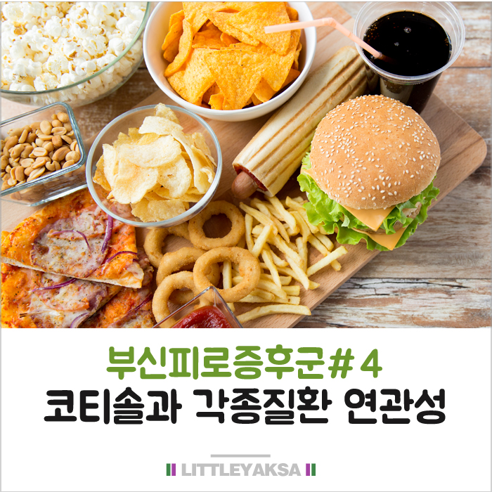 부신기능저하증만성피로 코르티솔 인한 남성여성호르몬 불균형과 여성질환 연관성 4편 네이버 블로그