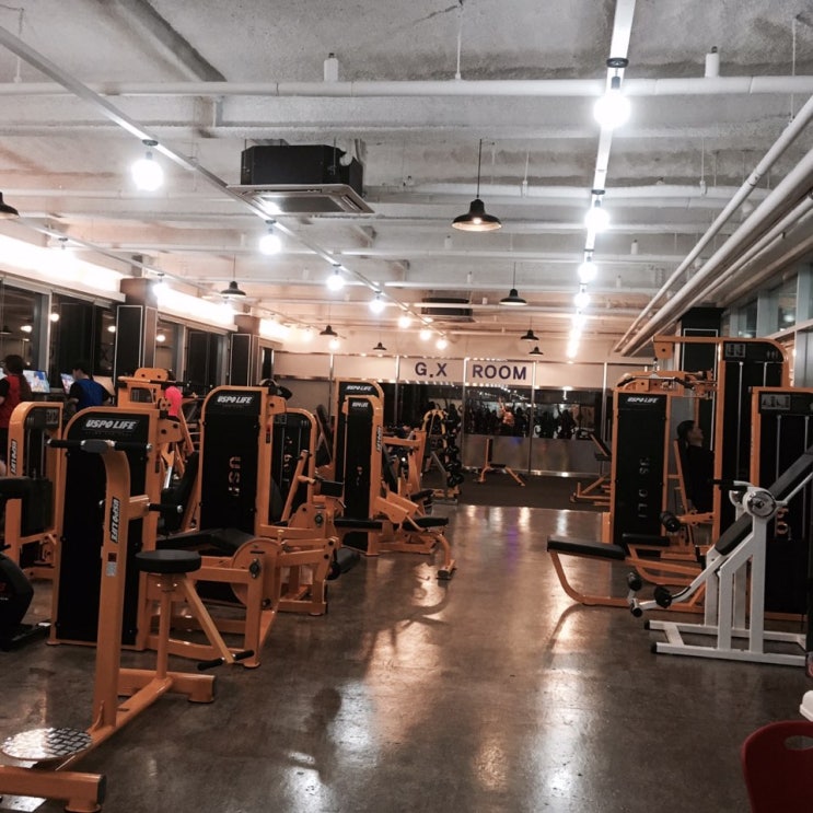 일상 광주 헬스장 화정동 월산동 수영 휘트니스 네이버 블로그