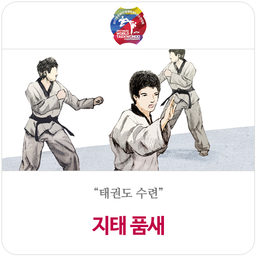 태권도 수련-지태 품새 : 네이버 블로그