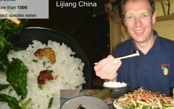 [TED Talk] Marcel Dicke: Why not eat insects? “곤충 한번 먹어 보시겠어요?” : 네이버 블로그