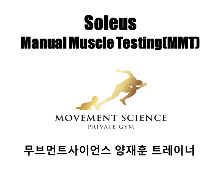 가자미근(Soleus)과 Manual Muscle Testing : 네이버 블로그